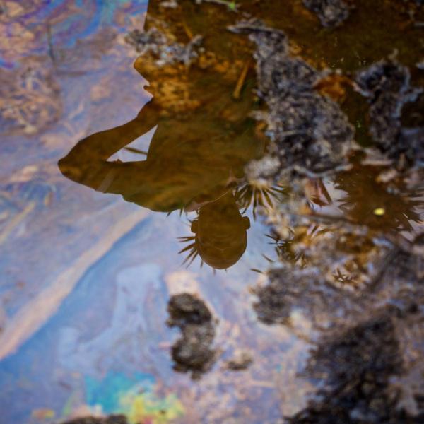 Biennale Architettura 2023 | Stephanie Hankey, Michael Uwemedimo and ...