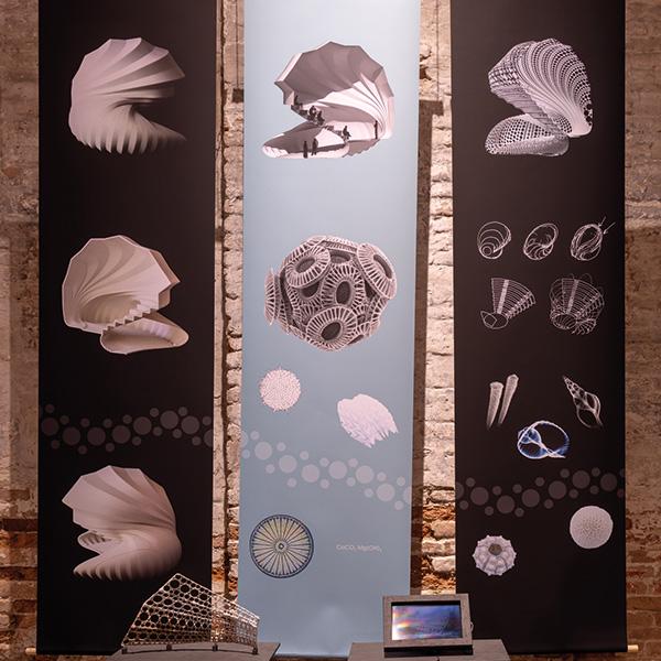 Biennale Architettura 2025 | The Biorock Pavilion