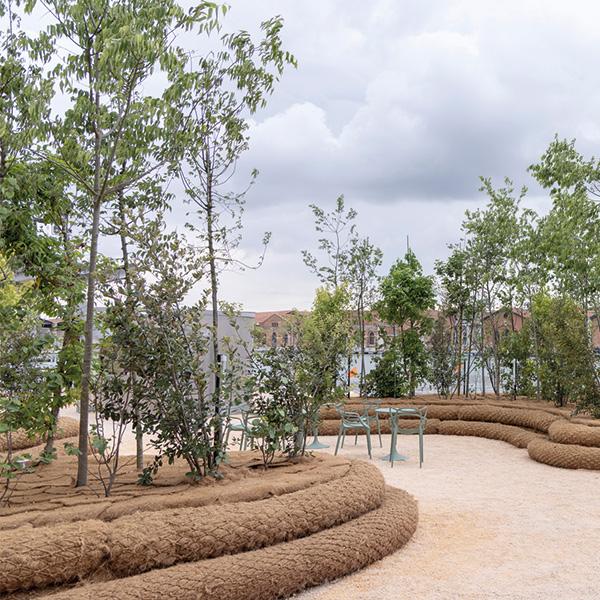 Biennale Architettura 2025 | Cool Forest