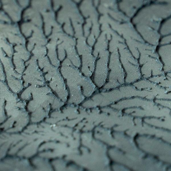 Biennale Architettura 2025 | Terraforms: The Shapes of Natural Intelligence