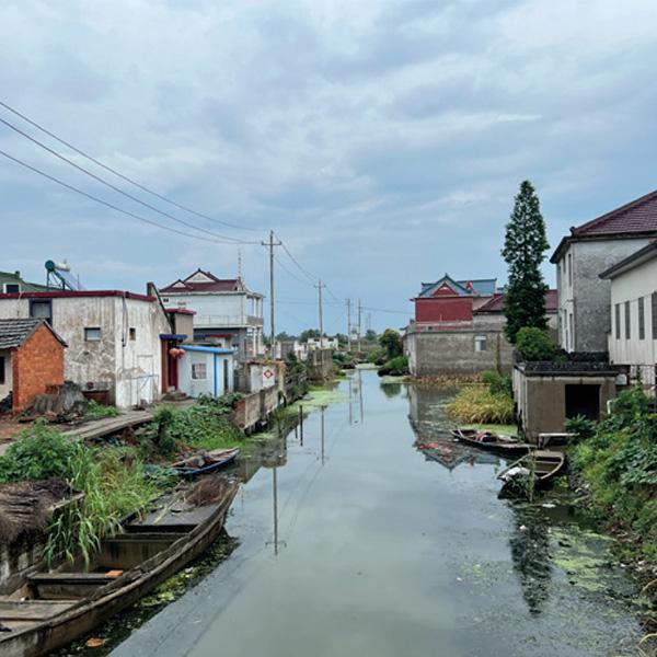 Biennale Architettura 2025 | Territorial Design and Long Institutions ...