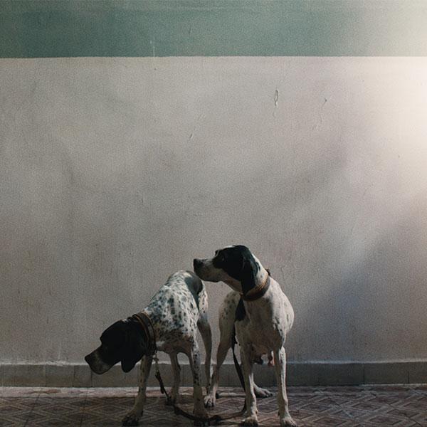 Biennale Arte 2022 | Janis Rafa