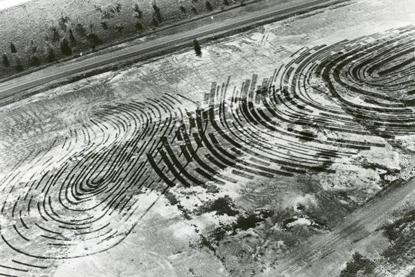 HISTORICAL ARCHIVE | Arte nella natura: gli archivi della Biennale e la Land Art (21.04)